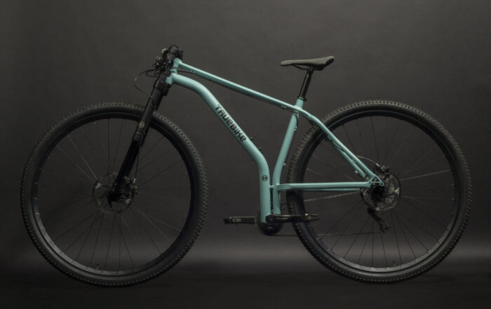 36-inch wheeled bicycle - TrueBike